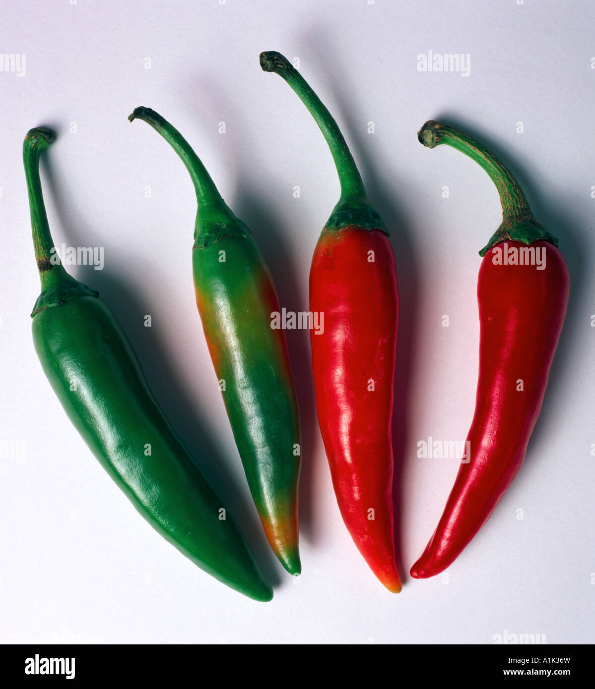 Capsicum red chili peppers Cut Out Stock Images & Pictures - Alamy