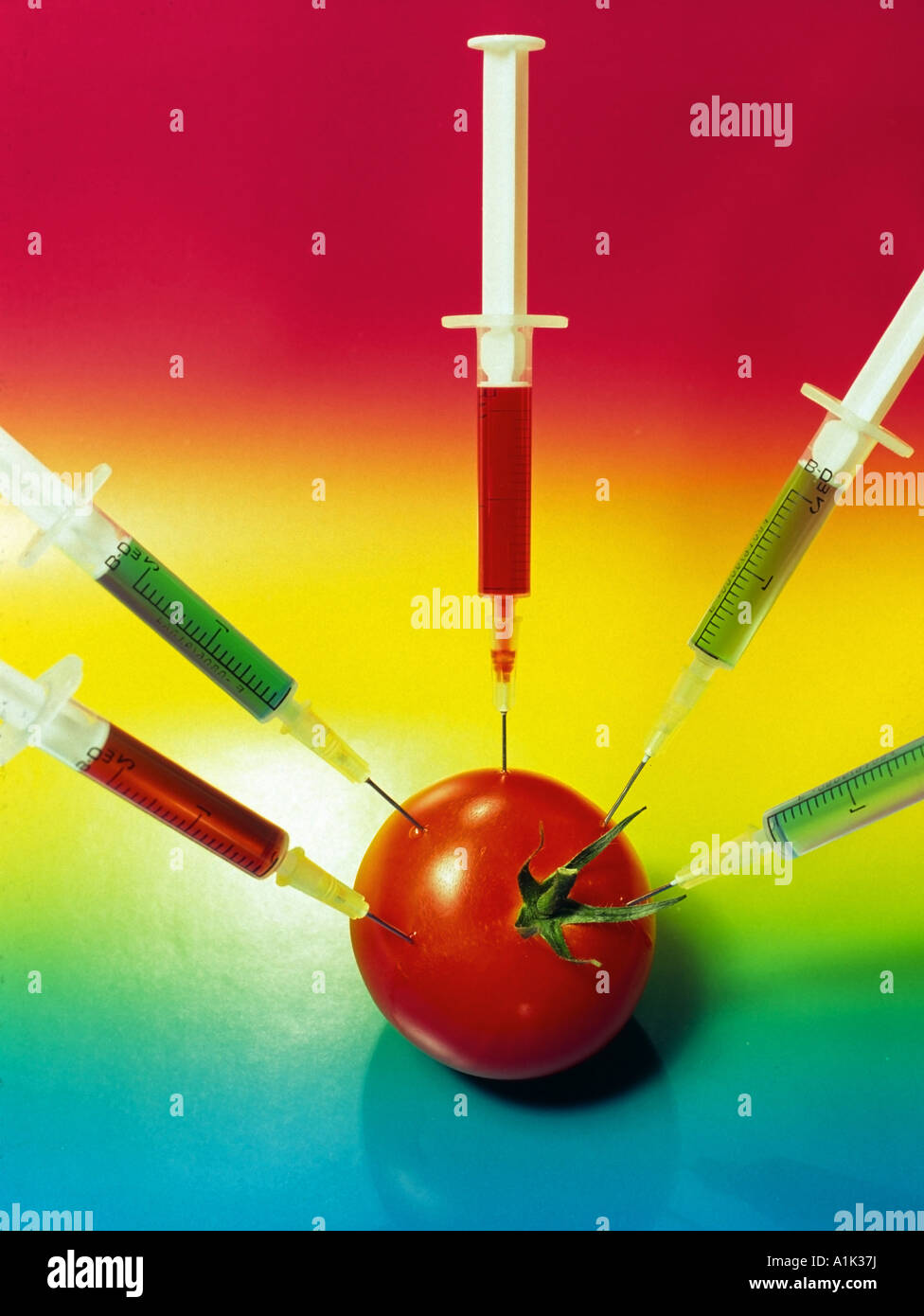 tomato with injections Stock Photo - Alamy