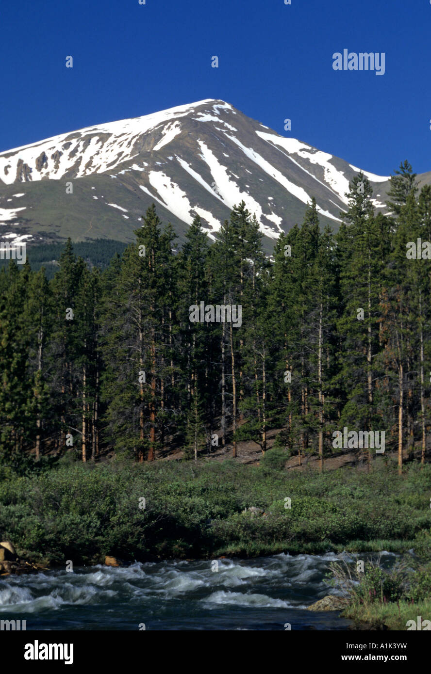 Mount Elbert's Instagram, Twitter & Facebook on IDCrawl