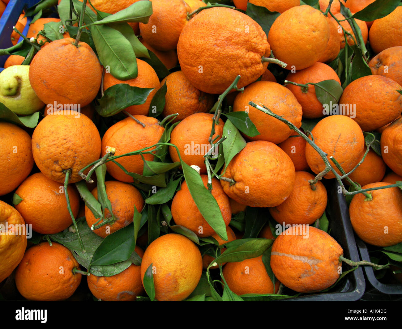 oranges with leaves Stock Photo - Alamy