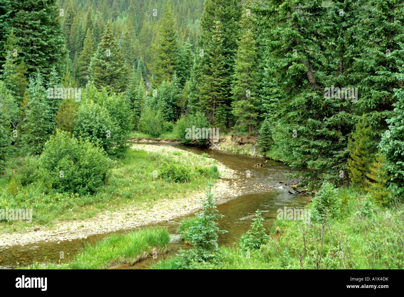 The Colorado River headwaters start high in Rocky Mountain National ...