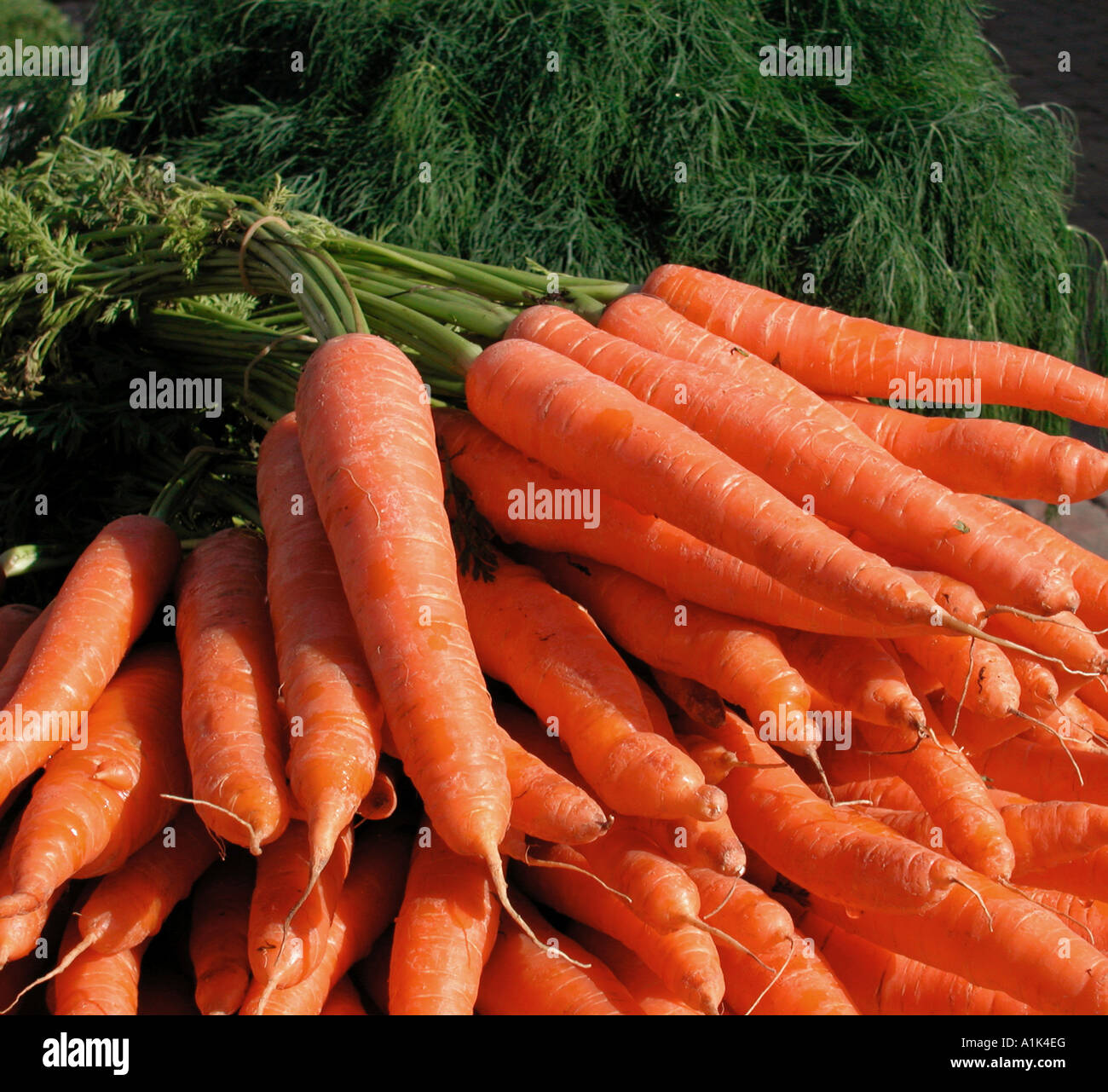 Vegetable vegetables market finland hi-res stock photography and images ...