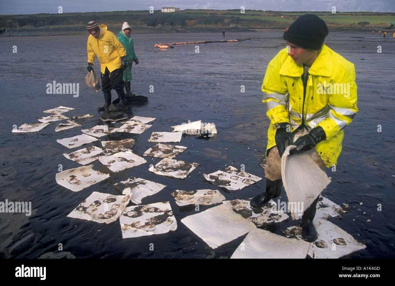 Oil clean up West Angle Bay Sea Empress oil spill Stock Photo - Alamy