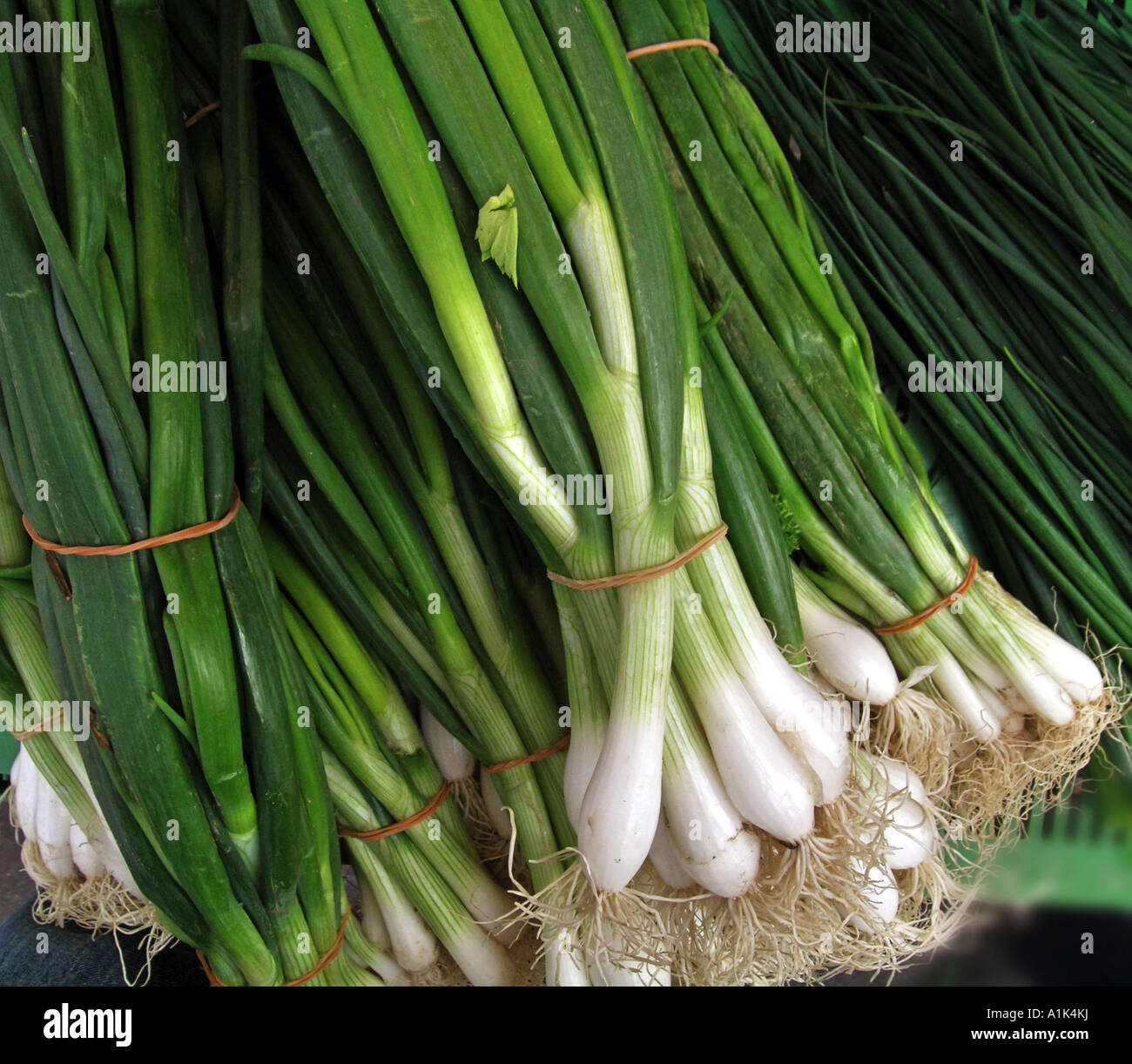 Welsh vegetables hi-res stock photography and images - Alamy
