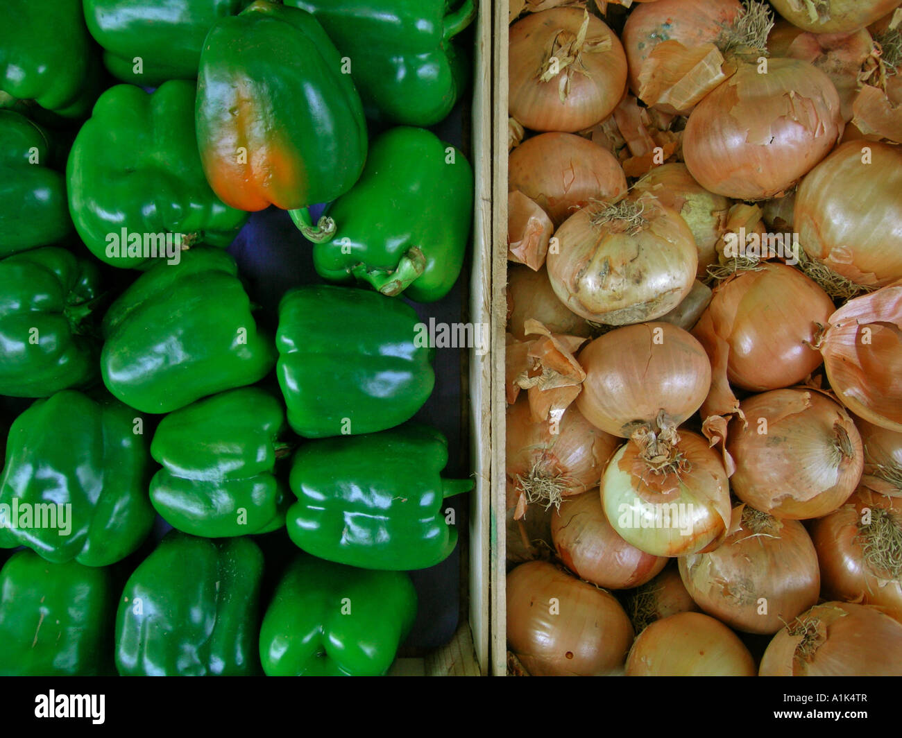 green capsicum and onions Stock Photo - Alamy