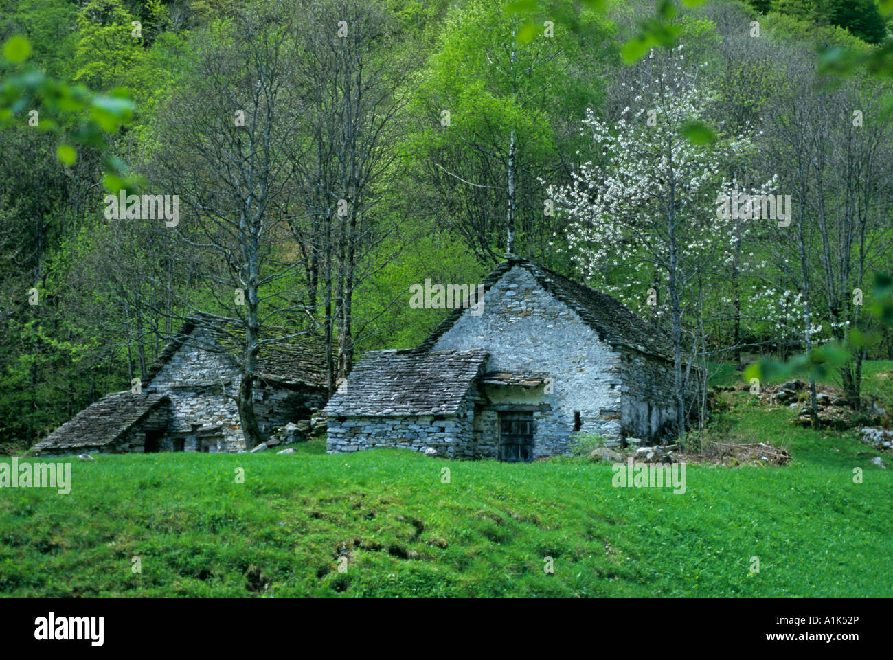 Quaint cottages in the alpine village of Sonogno Val Verzasca Ticino ...