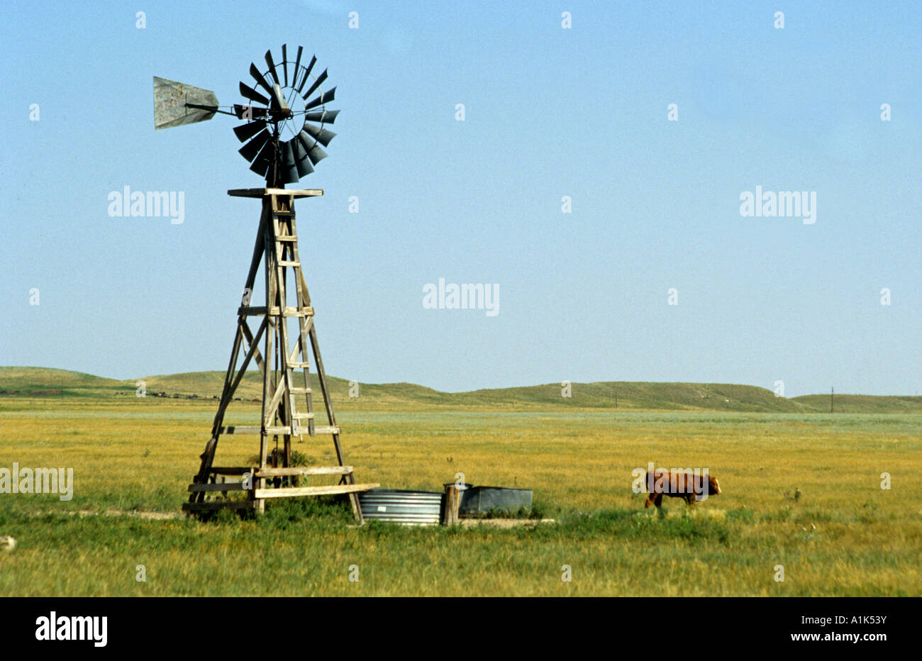 Lone windmill pumps water for cattle on the Colorado prairie Stock ...