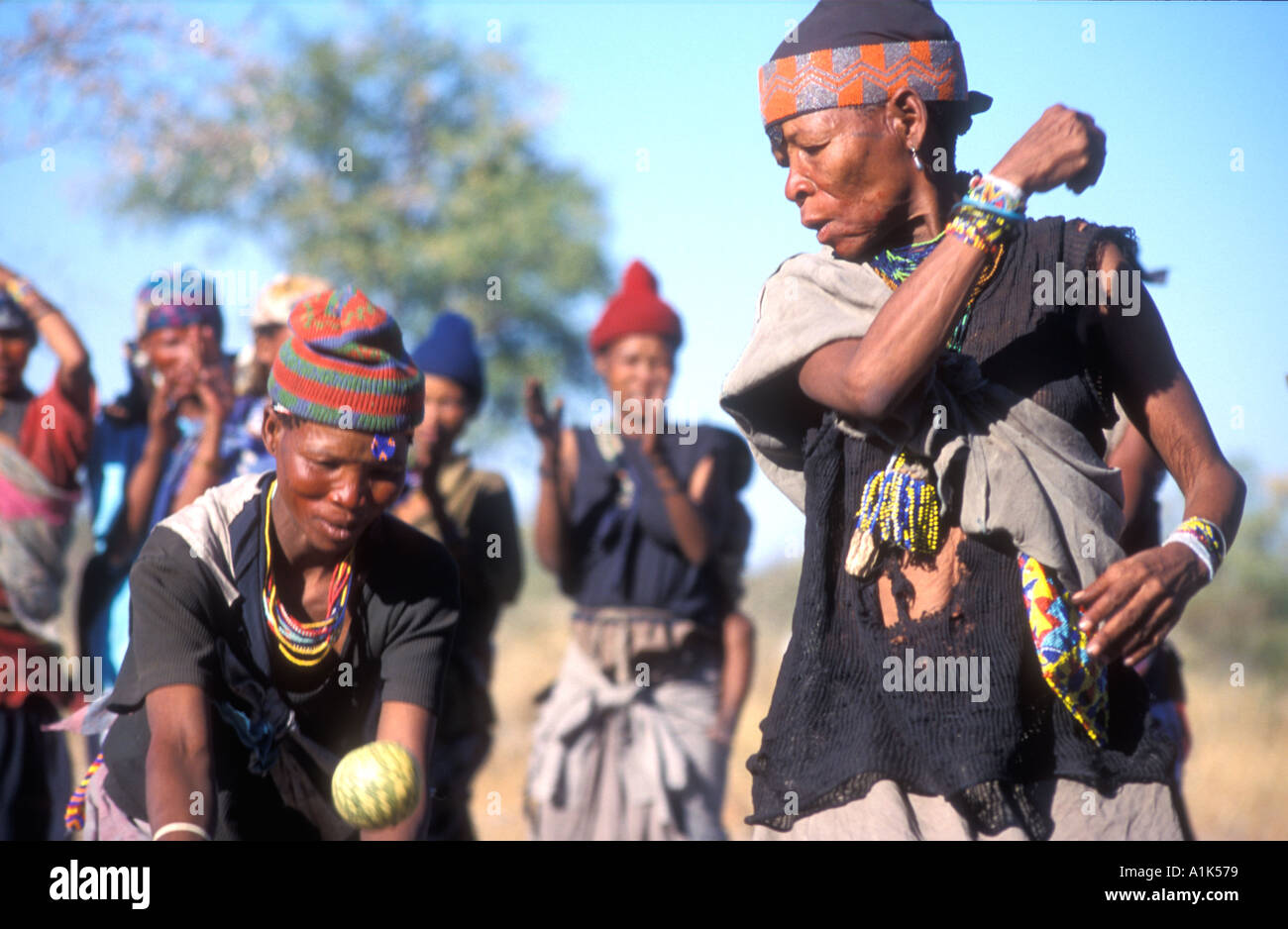 Bushmen kalahari gathering hi-res stock photography and images - Alamy