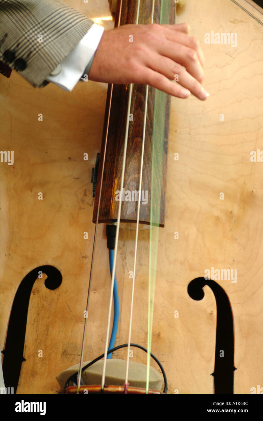 double bass music musical instrument twang rock n and roll musican ...