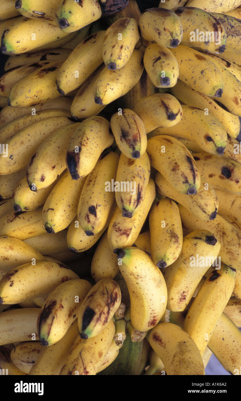 Ecuador97031 hi-res stock photography and images - Alamy