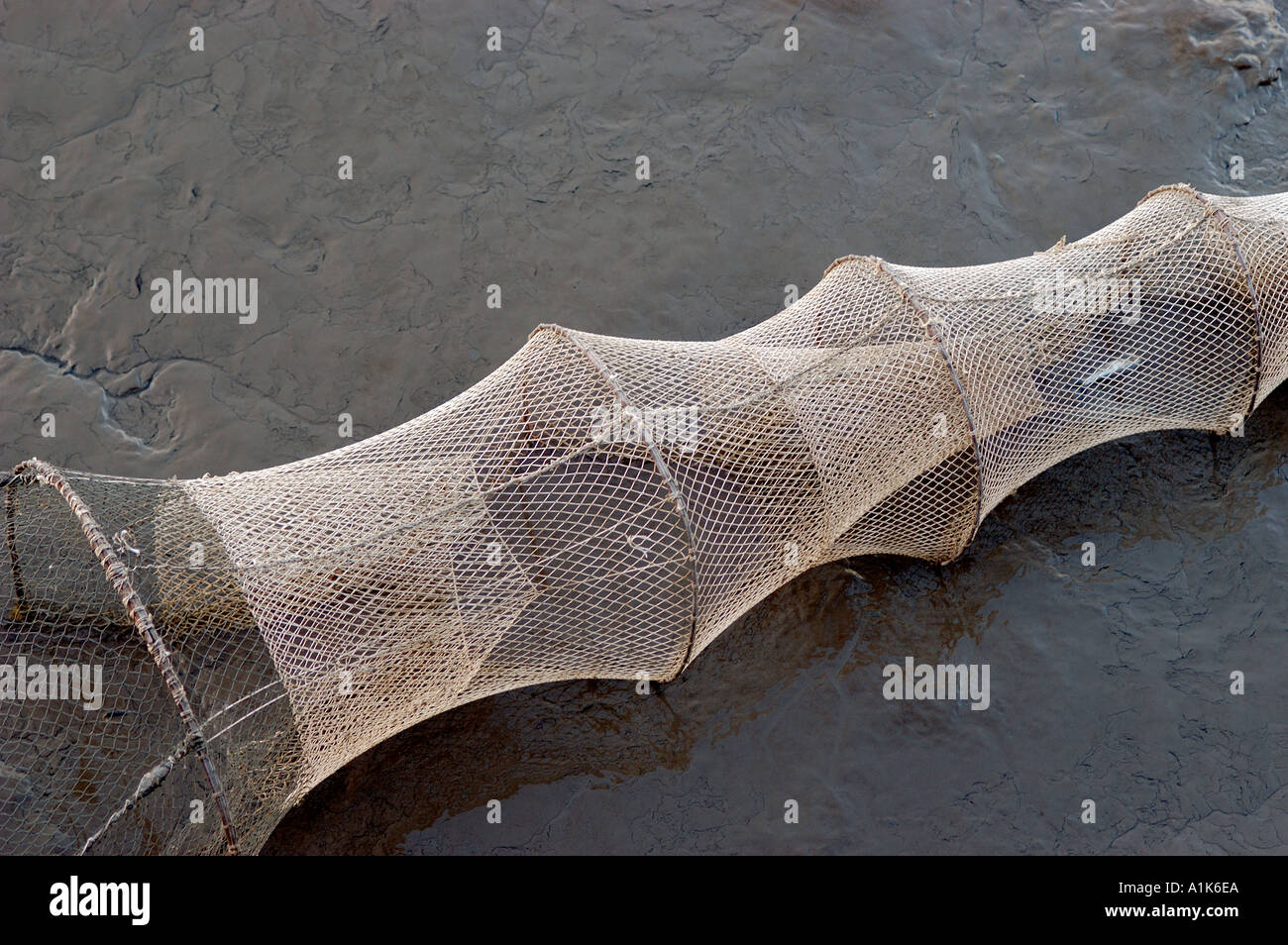Fishing net eel trap hi-res stock photography and images - Alamy
