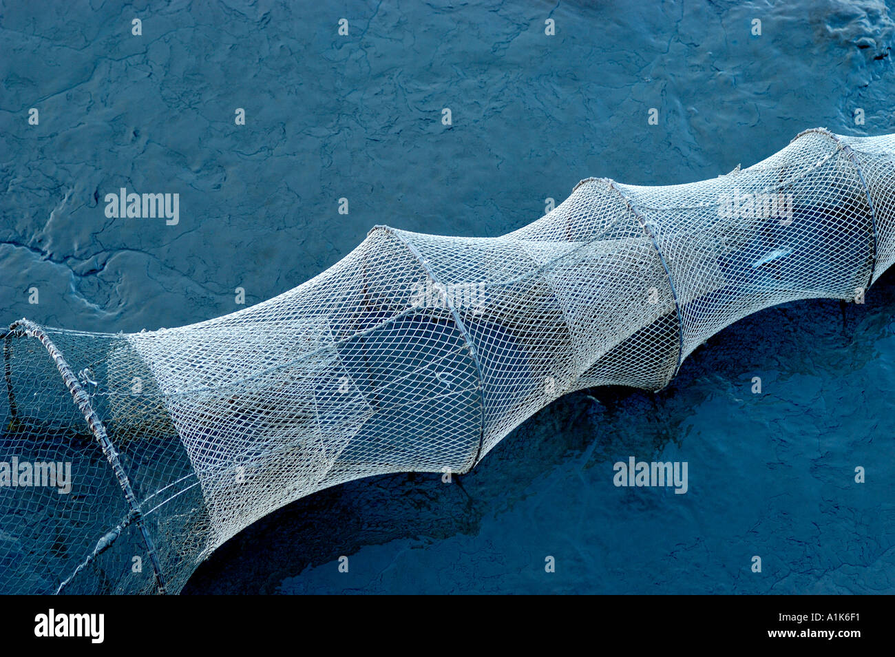 Eel trap hi-res stock photography and images - Alamy