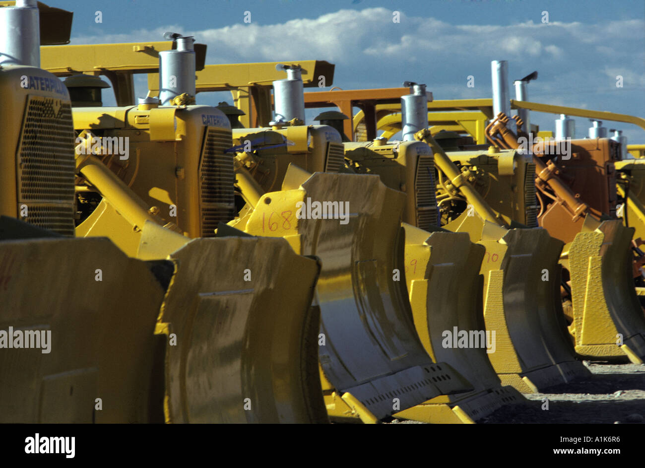 large yellow bulldozers lined up in a row Stock Photo - Alamy