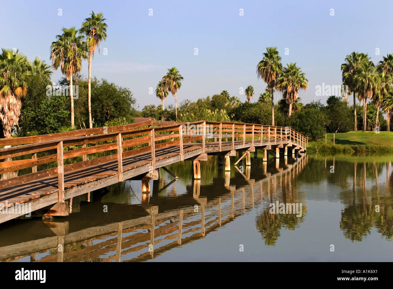 Bridge over reflective water, Palm trees Stock Photo - Alamy