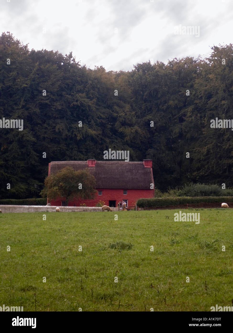 Traditional Welsh Farmhouse at the Museum of Welsh Life St Fagans near ...