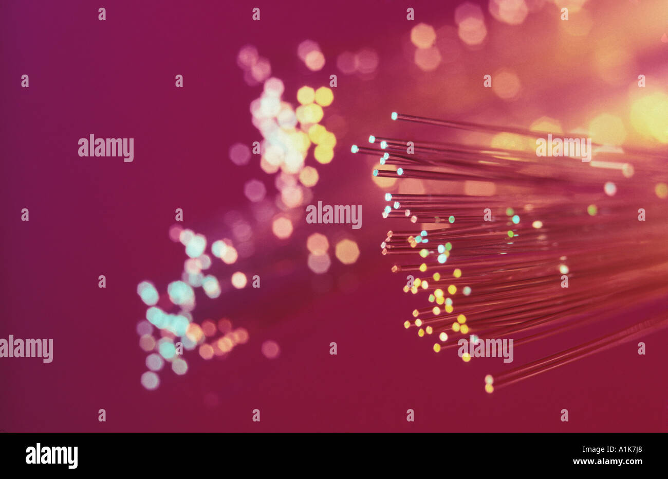 multi colored fiber optic strands Stock Photo - Alamy