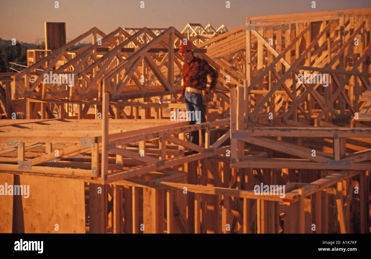 House construction us forest hi-res stock photography and images - Alamy