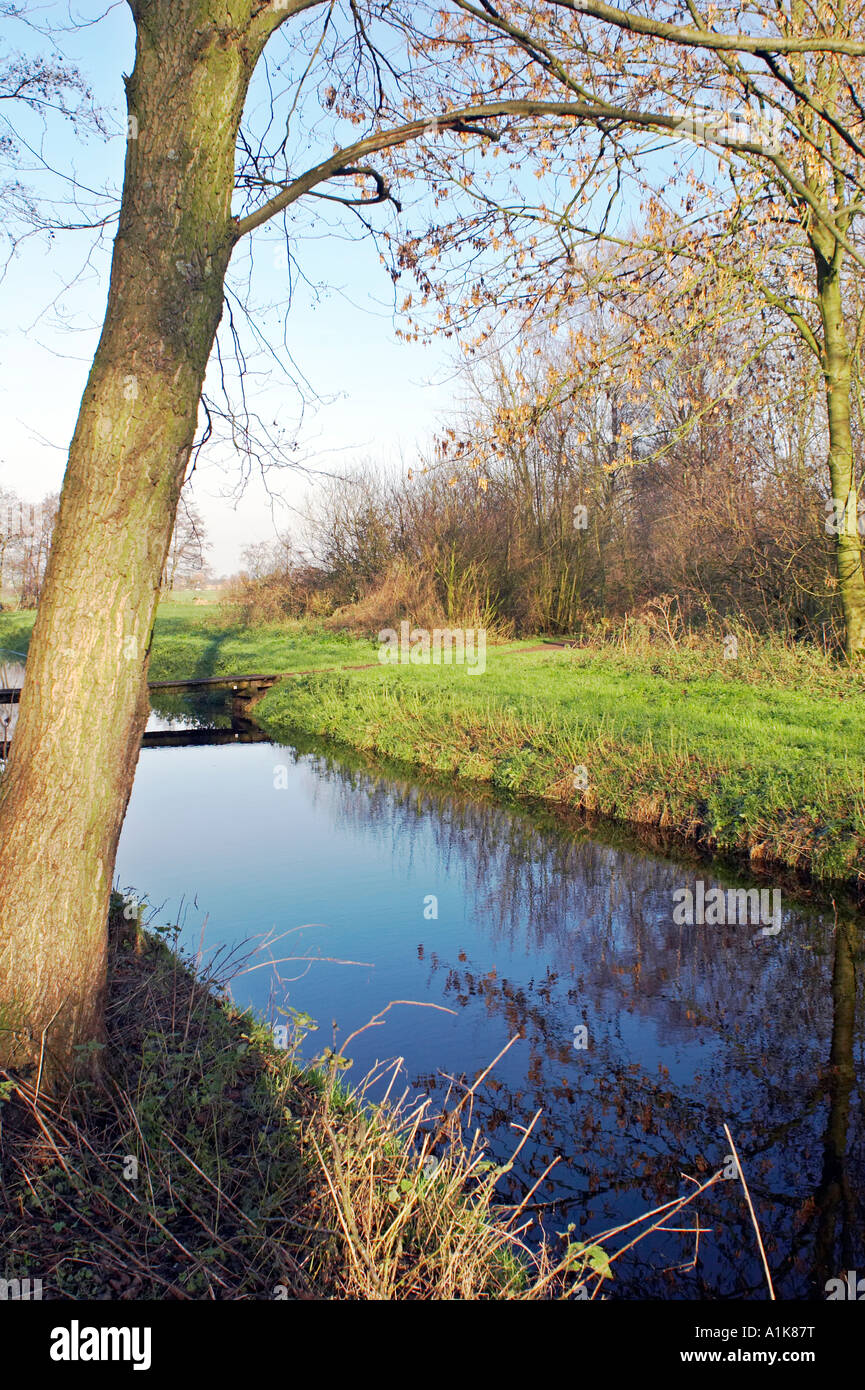 Typical Dutch landscape Stock Photo - Alamy