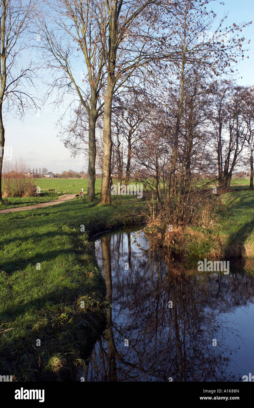 Typical Dutch landscape Stock Photo - Alamy