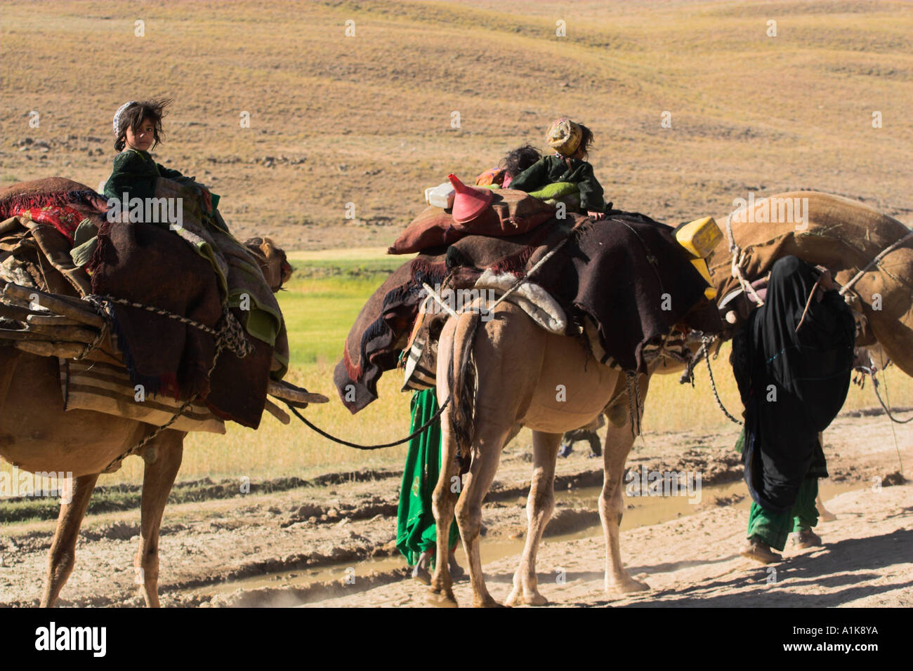 AFGHANISTAN between Chakhcharan and Jam Kuchie nomad camel train Stock ...