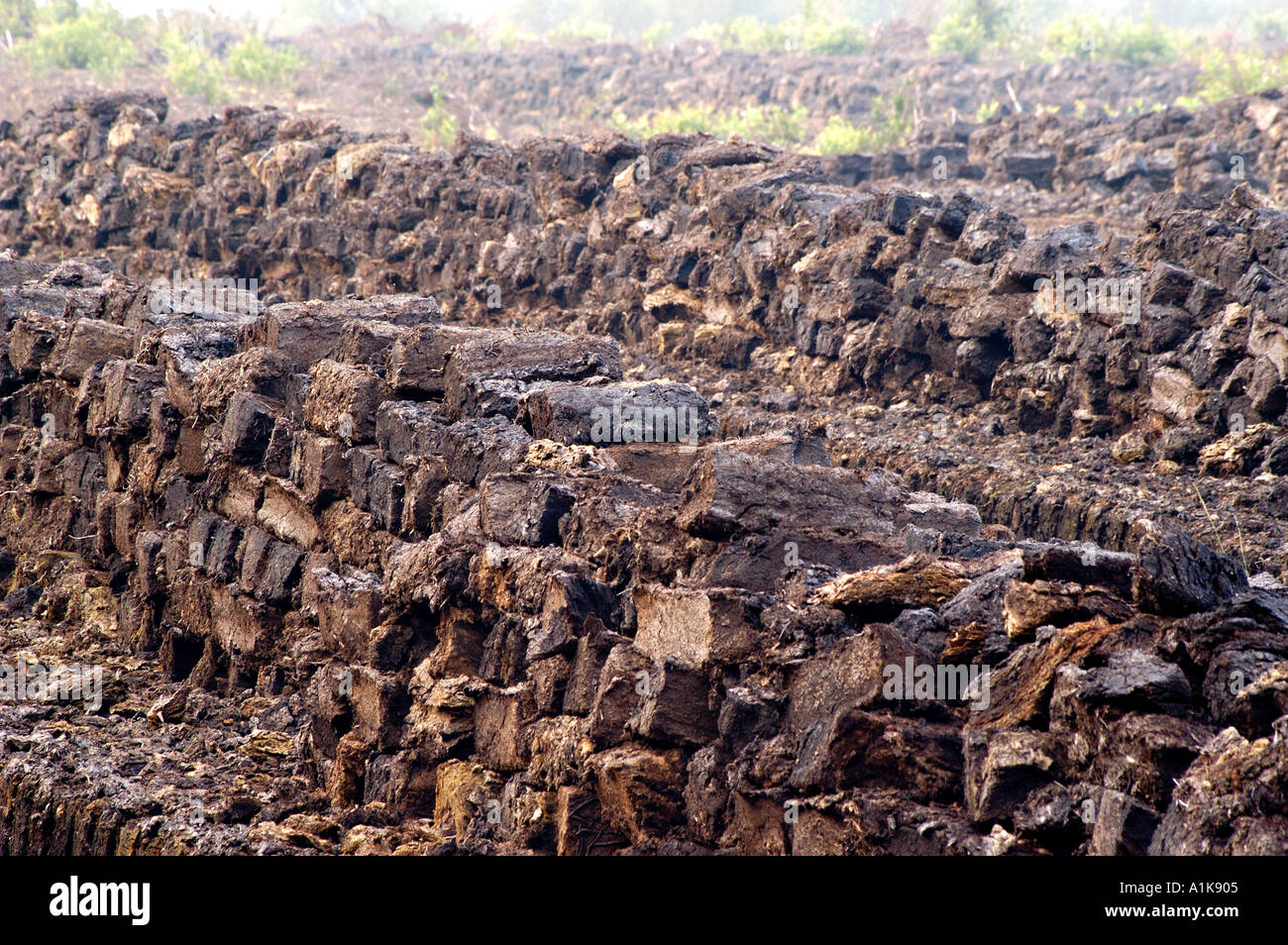 Peat moss harvesting hi-res stock photography and images - Alamy