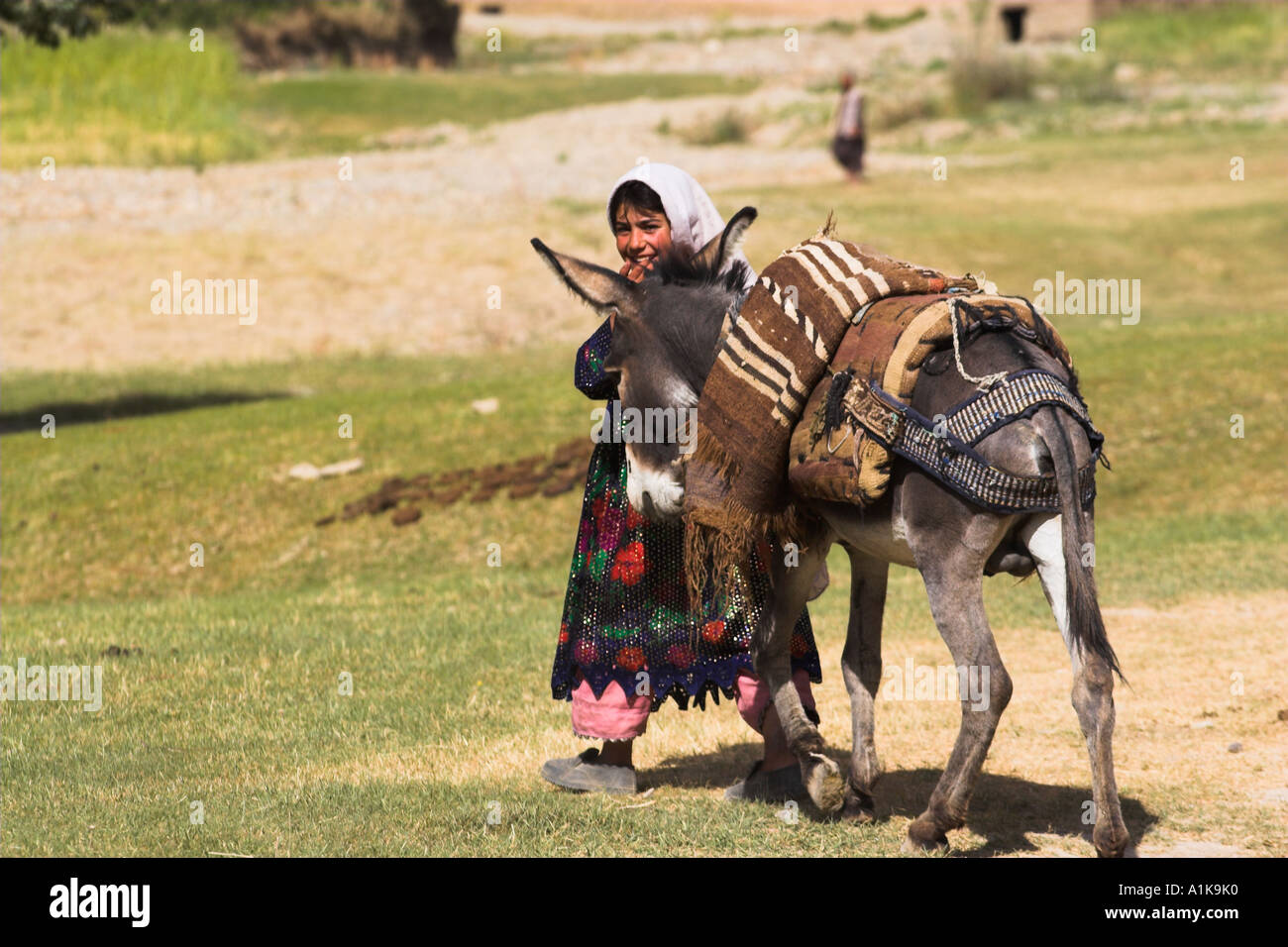 AFGHANISTAN between Chakhcharan and Jam Pal Kotal i Guk Aimaq girl ...