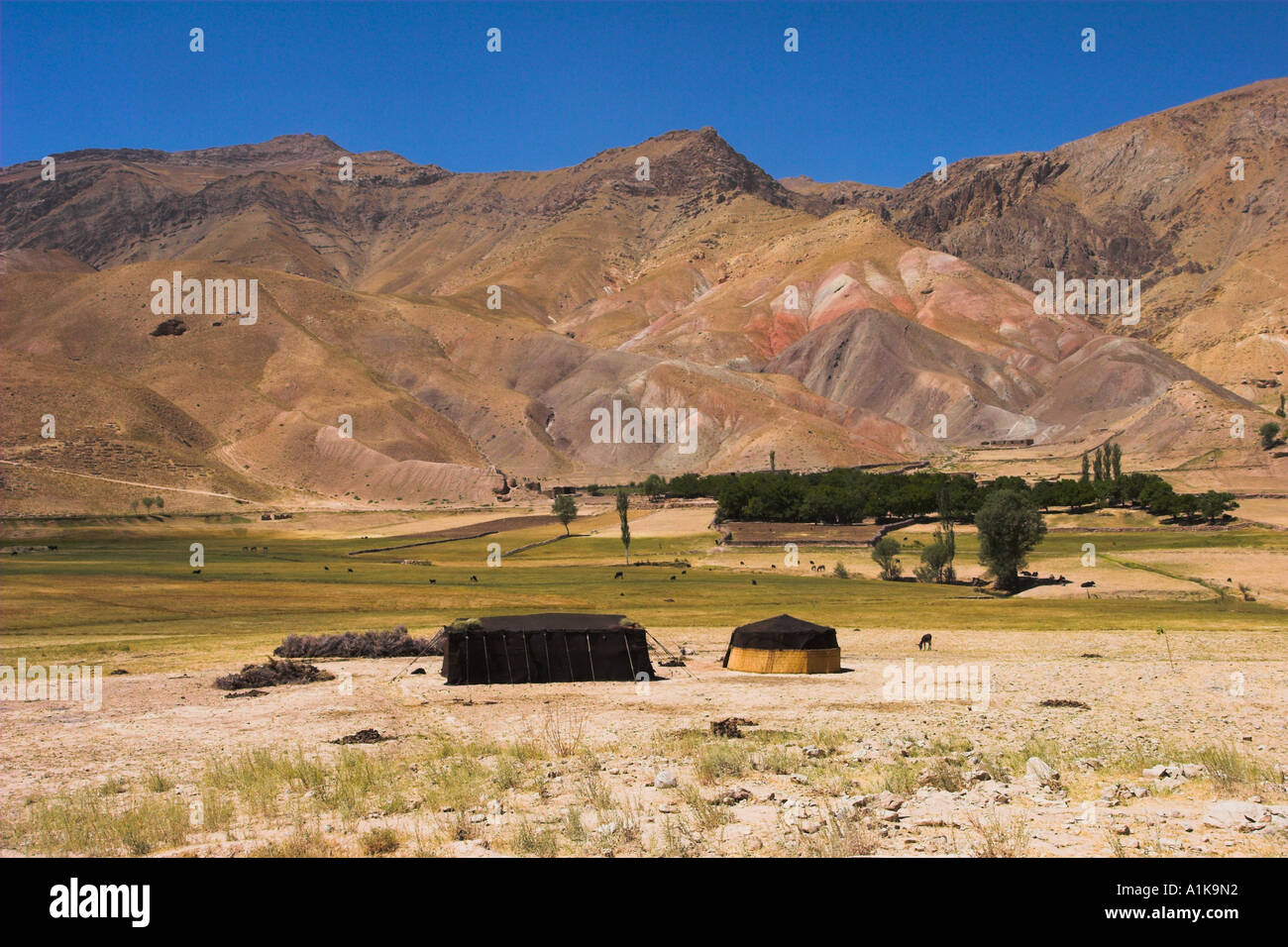 Aimaq hi-res stock photography and images - Alamy