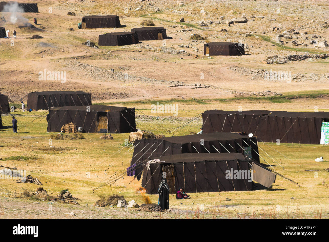 AFGHANISTAN between Chakhcharan and Jam Pal Kotal i Guk Aimaq nomad ...