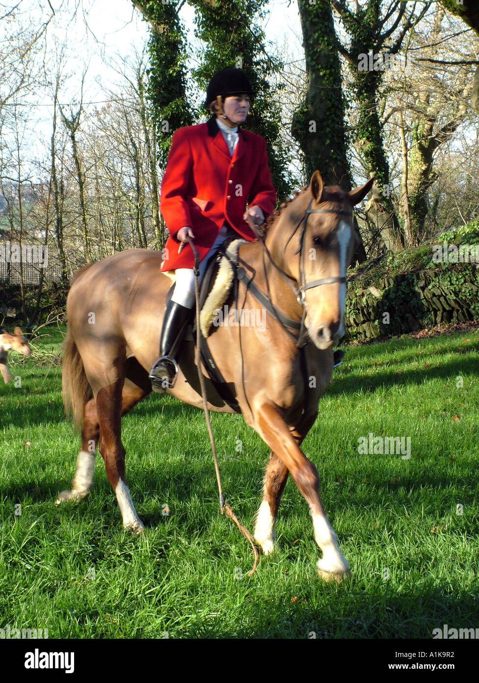 Hunting just before the ban 2005 Stock Photo - Alamy
