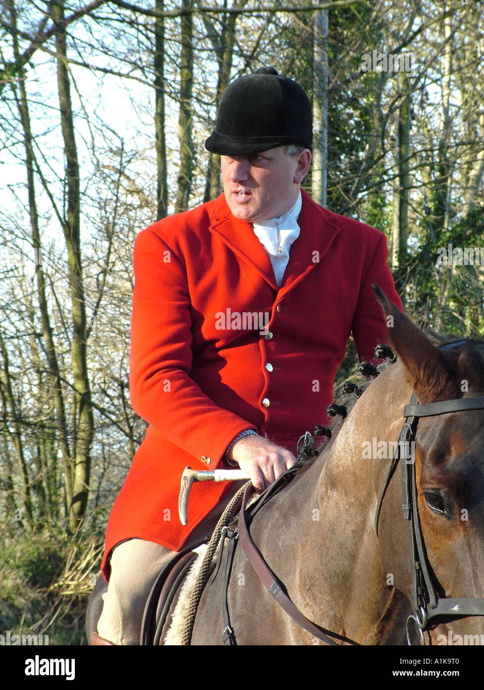 Hunting just before the ban 2005 Stock Photo - Alamy