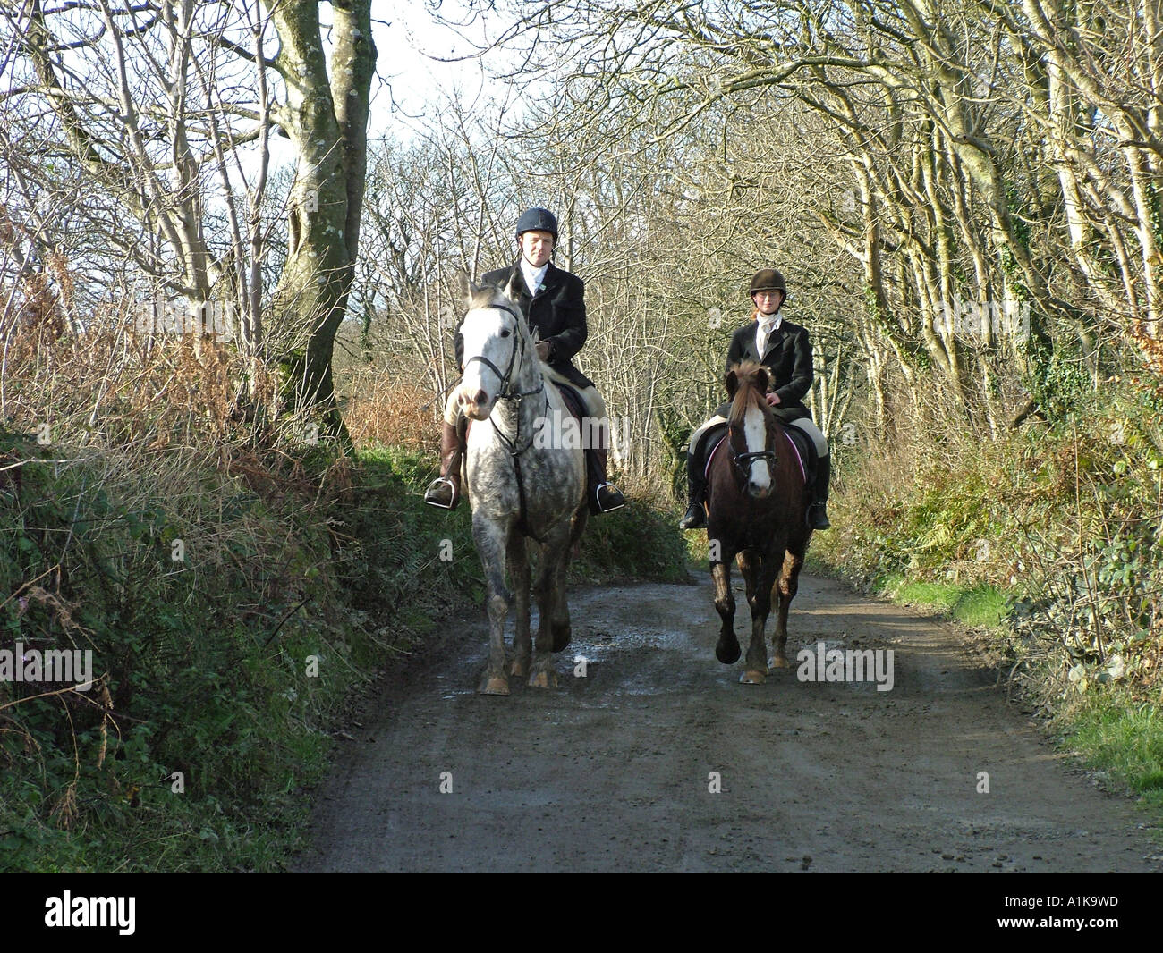 Hunting just before the ban 2005 Stock Photo - Alamy