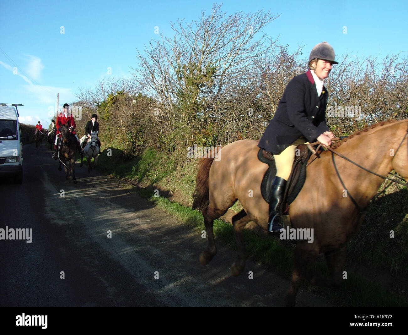 Welsh fox hounds hi-res stock photography and images - Alamy