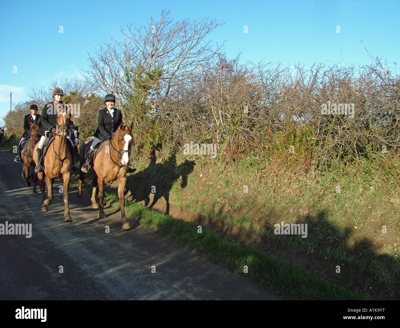 Hunting just before the ban 2005 Stock Photo - Alamy
