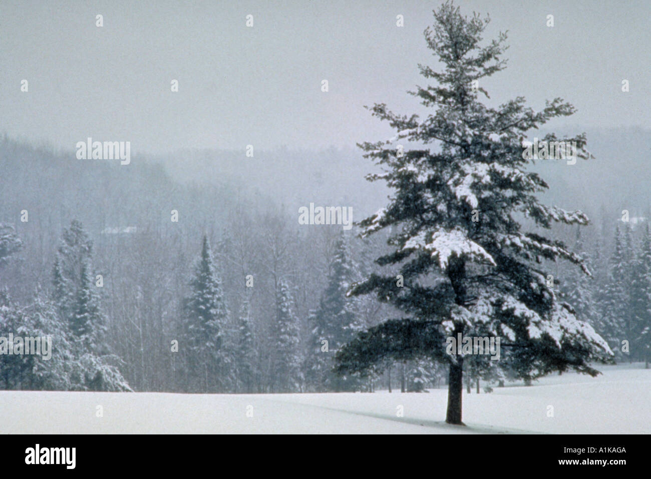 Cable wisconsin winter hi-res stock photography and images - Alamy