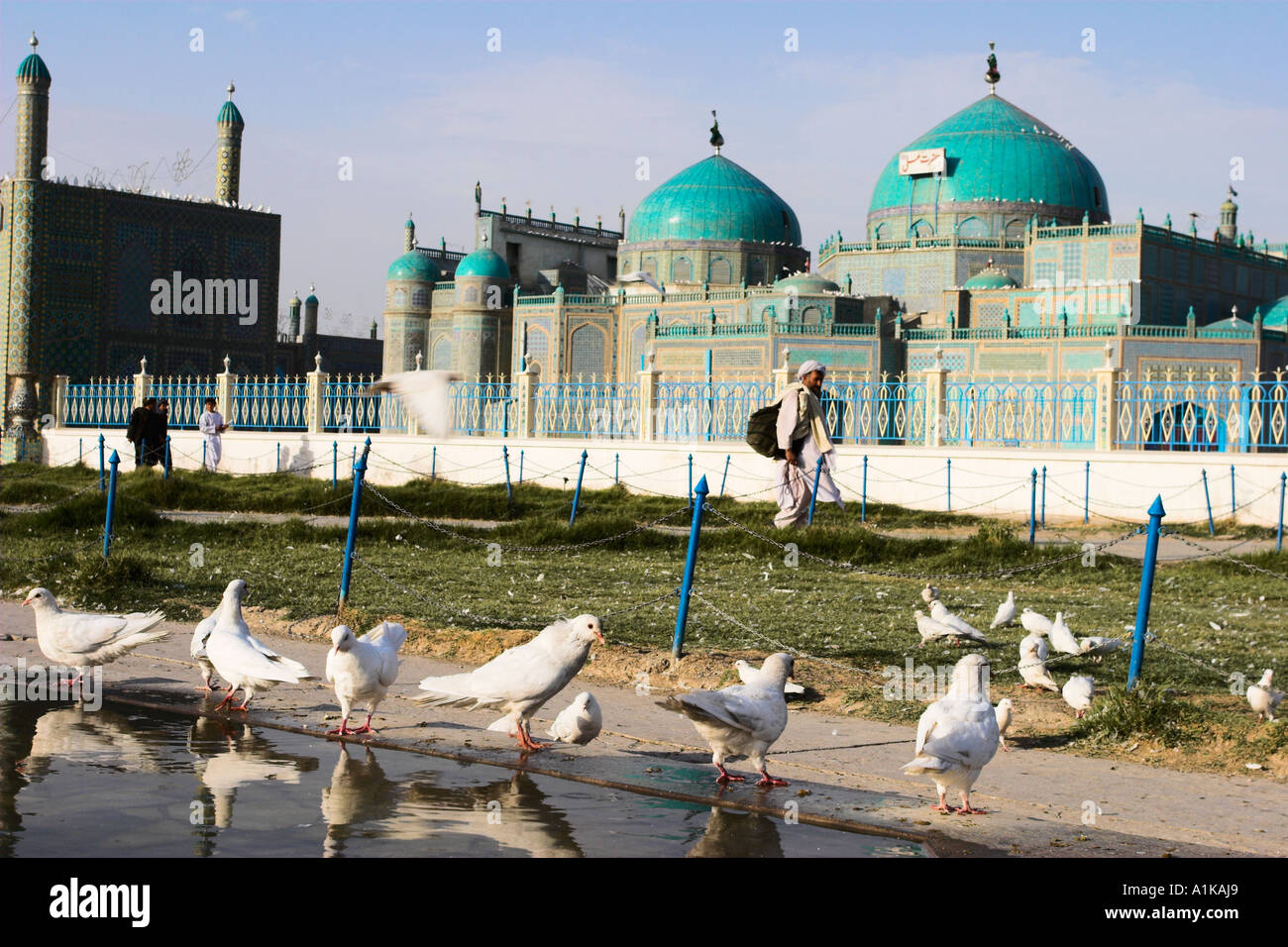 AFGHANISTAN Mazar I Sharif Famous white pigeons Shrine of Hazrat Ali ...
