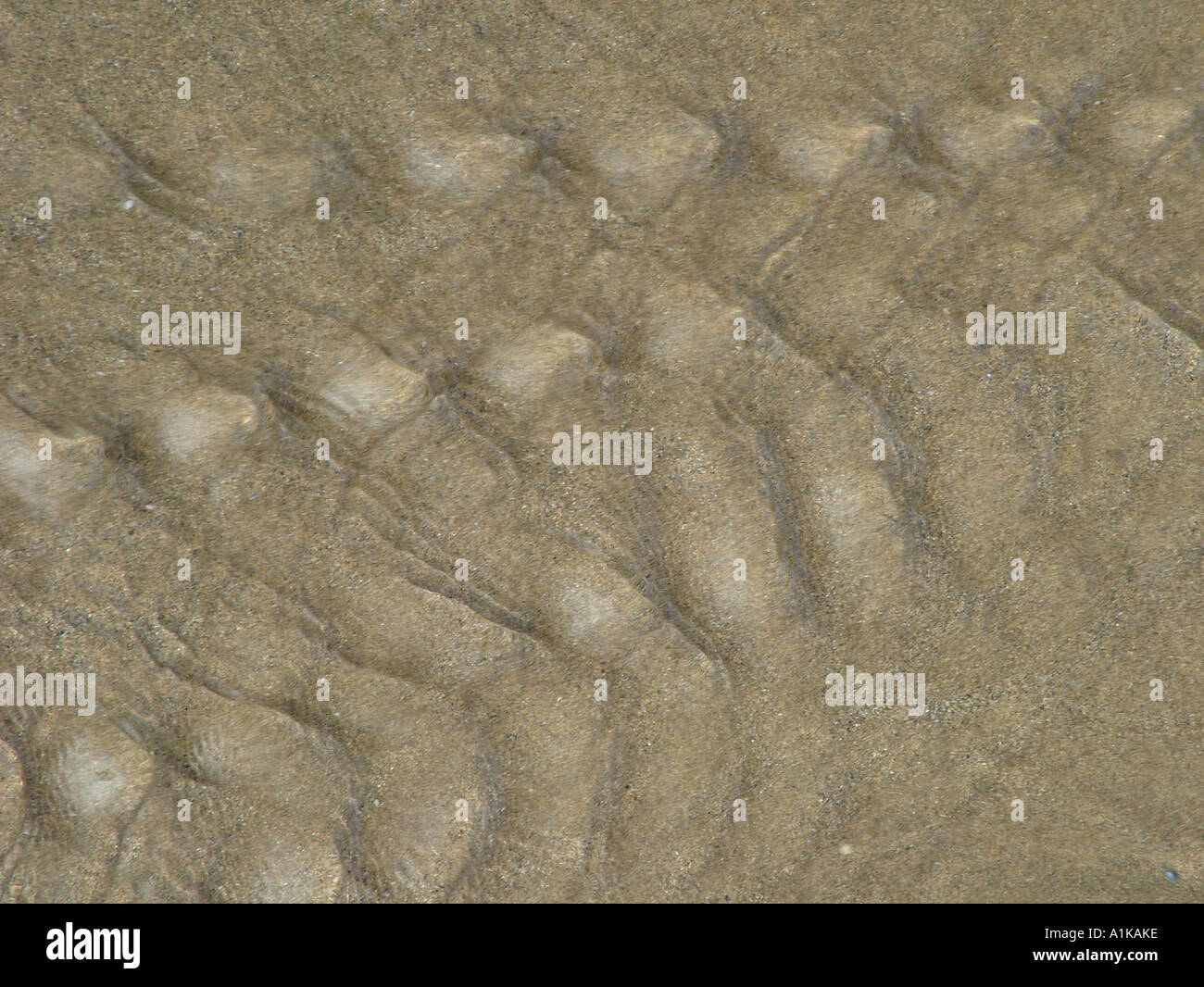Ripples in water on sand Stock Photo - Alamy