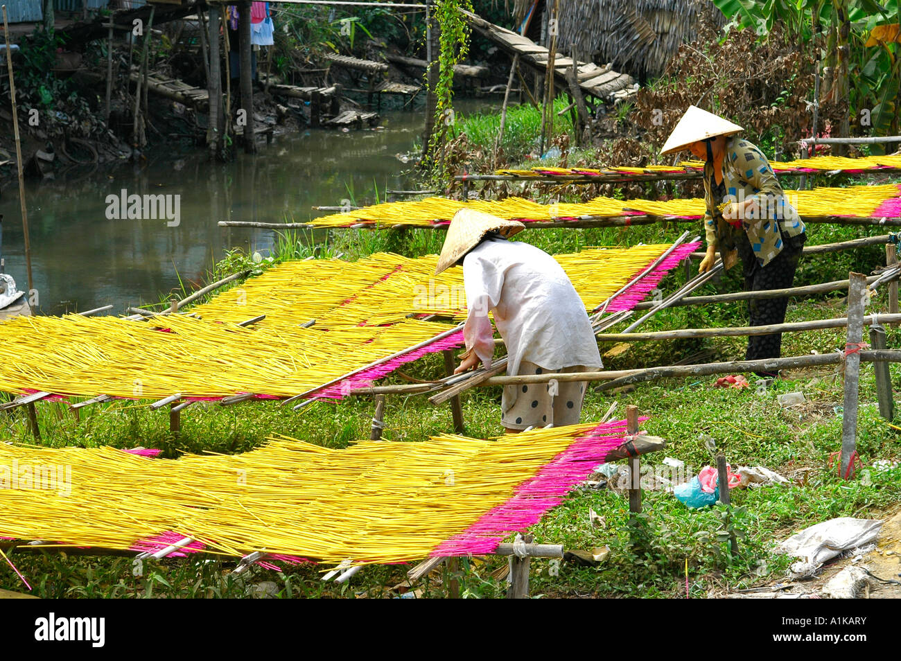 Drying of incense sticks Can Tho, Vietnam Stock Photo - Alamy