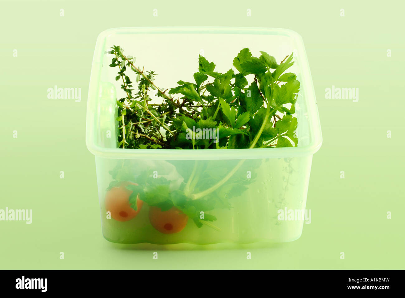 Tupperware with herbs Stock Photo - Alamy