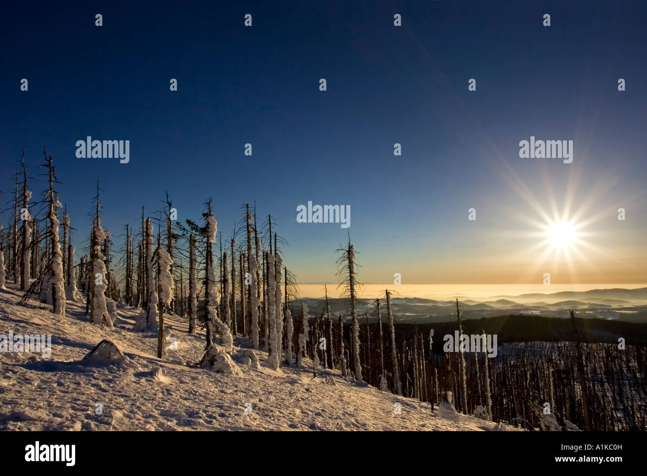 Forest destruction destruction landscape mountain hi-res stock ...