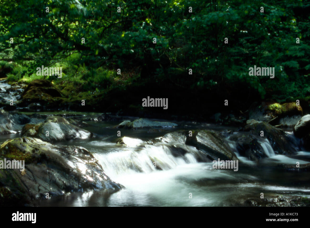 Waterfall over horizontal strata in upper course river valley Nant ...