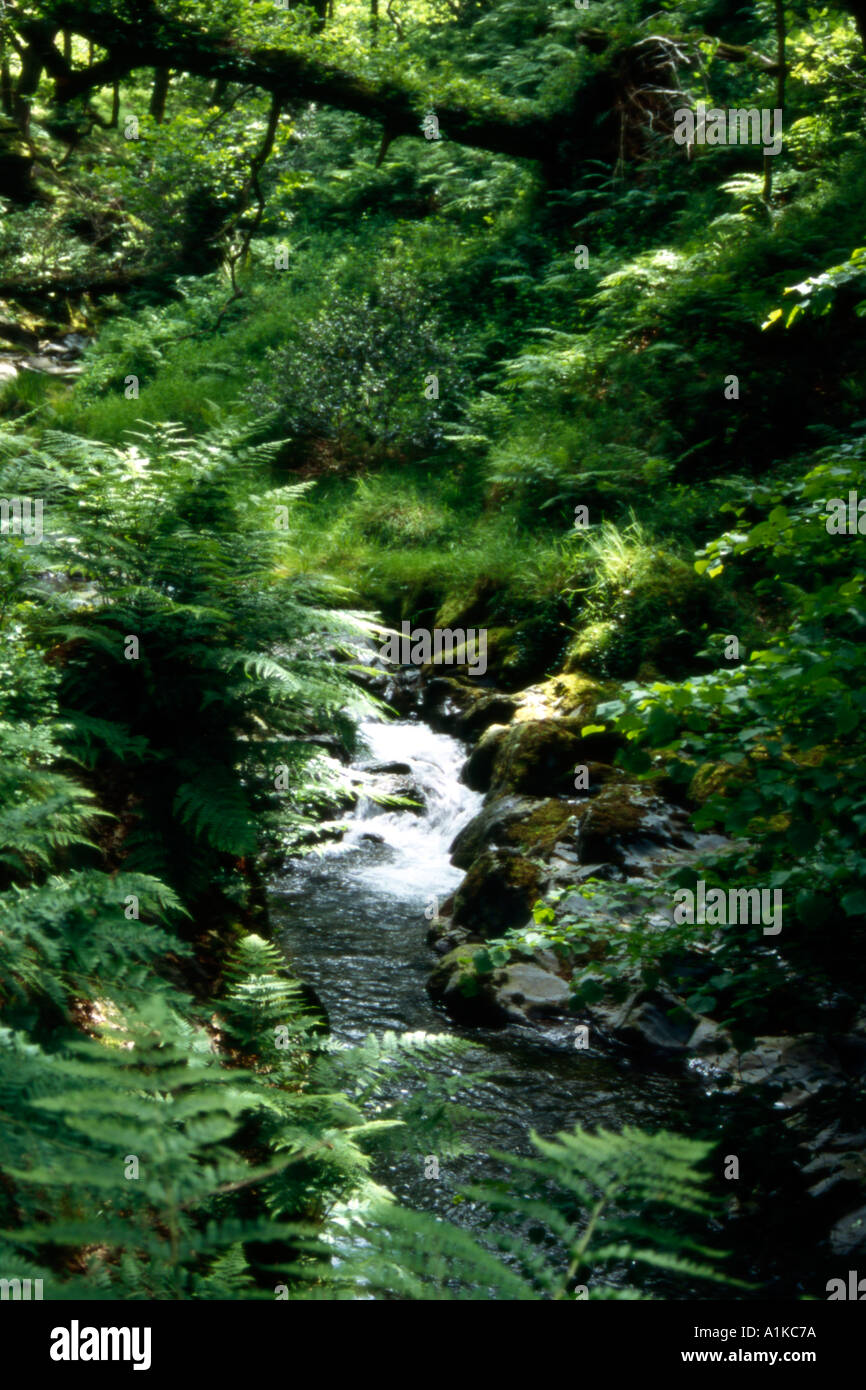 Upper course river valley showing v shape formation Stock Photo - Alamy