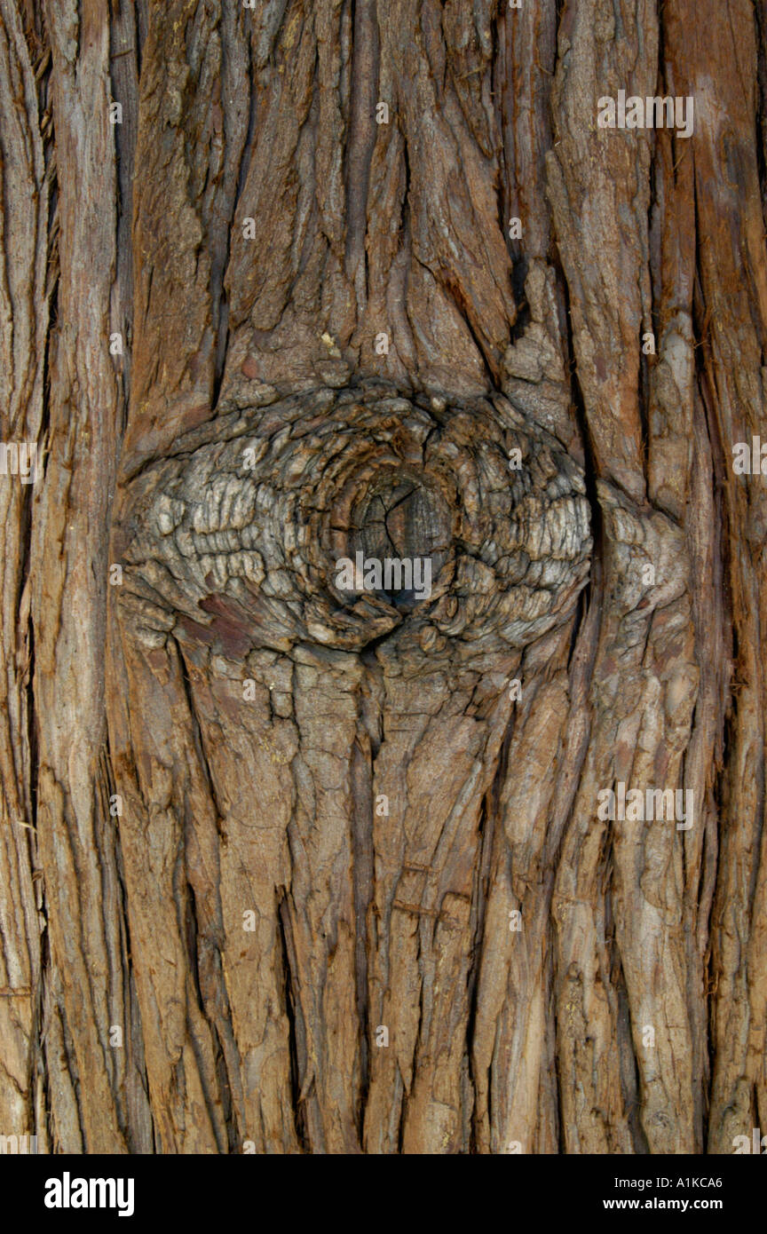 Picure hi-res stock photography and images - Alamy