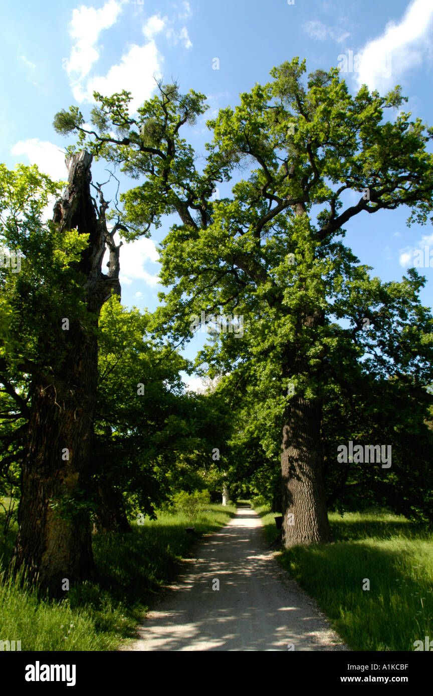 UNESCO World Heritage, Lednice, landscape garden Stock Photo - Alamy