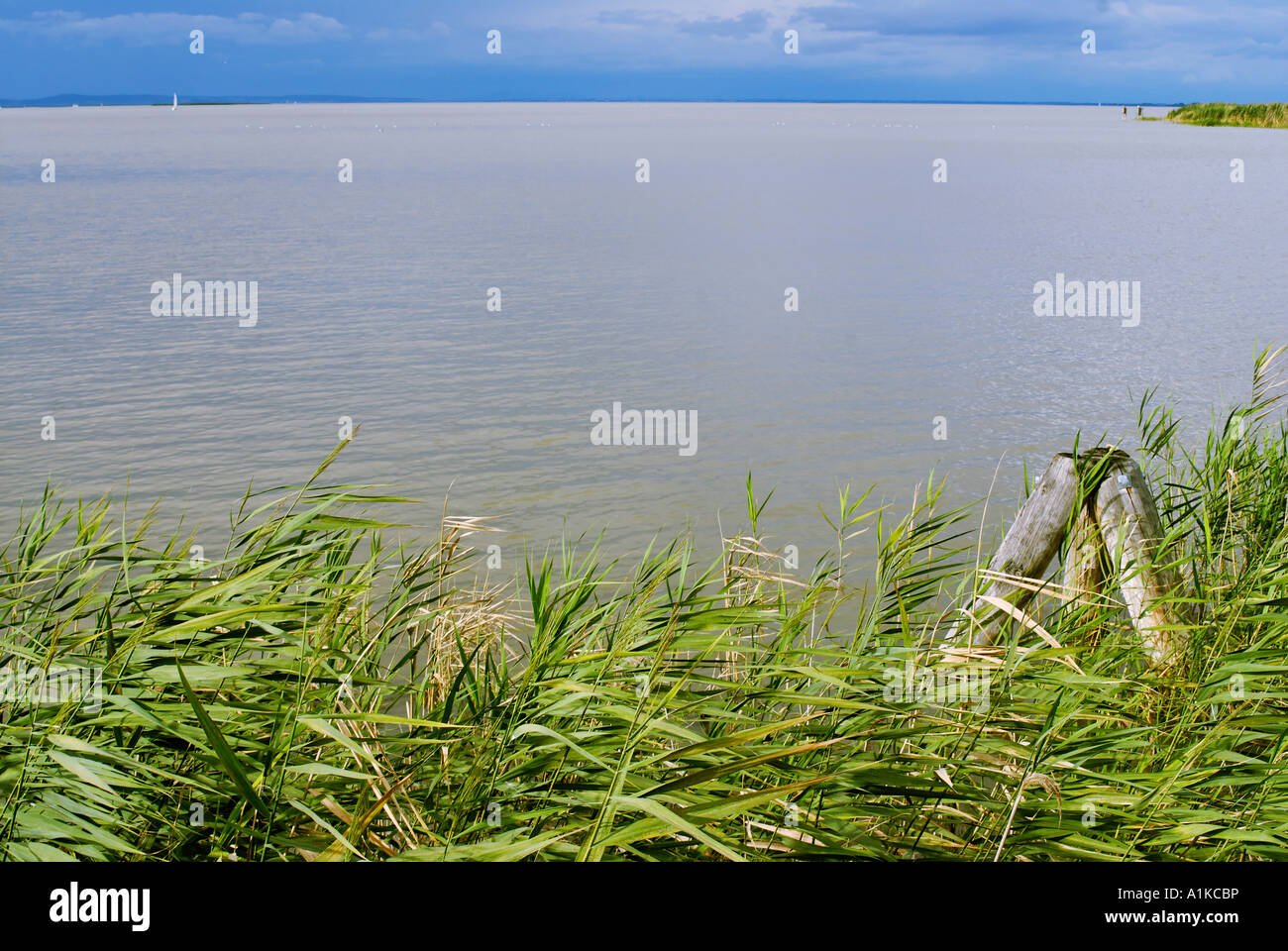 Neusiedler See Lake Neusiedl near Moerbisch Burgenland Austria Stock ...