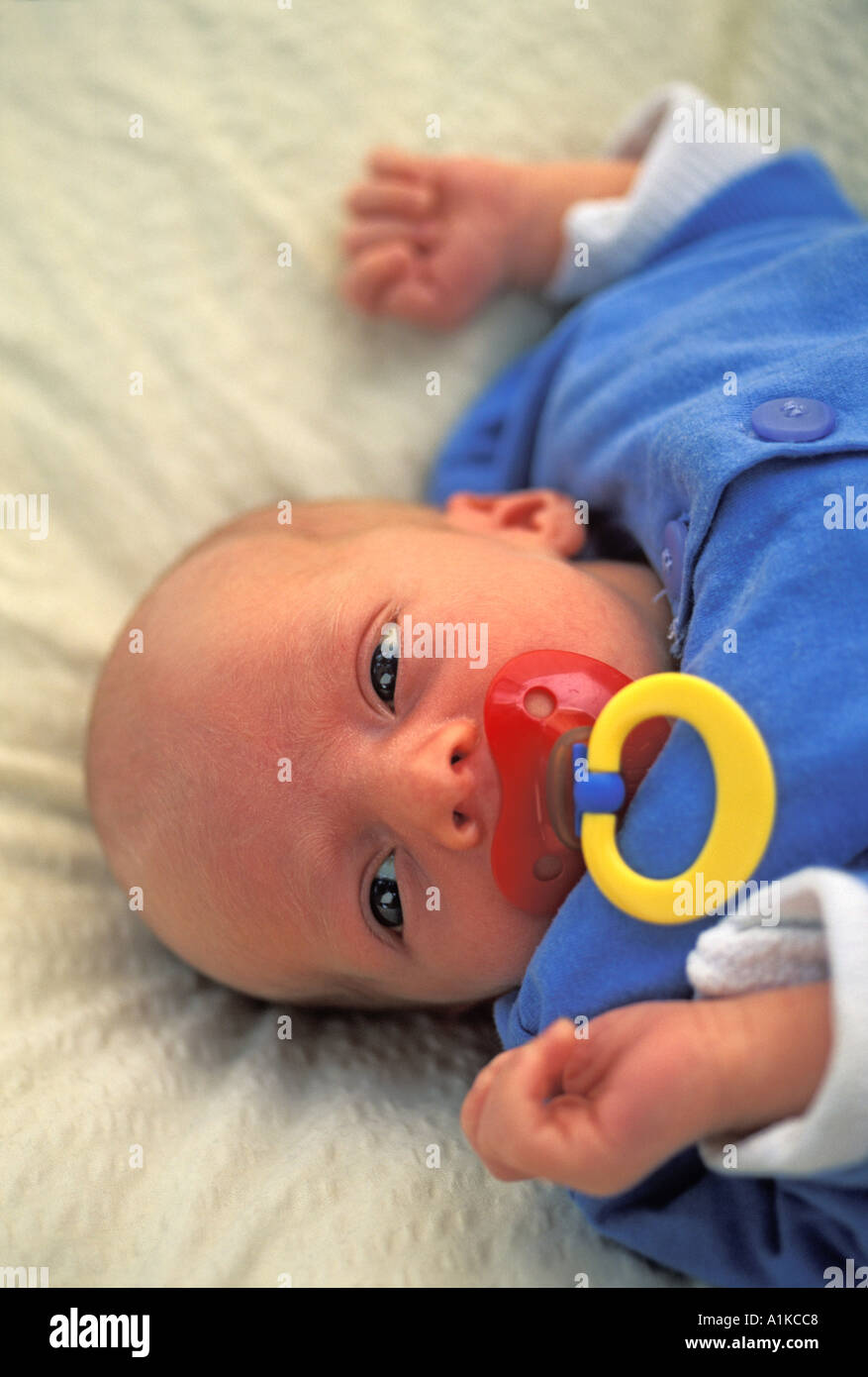 Tree day old baby with pacifier MR Stock Photo - Alamy