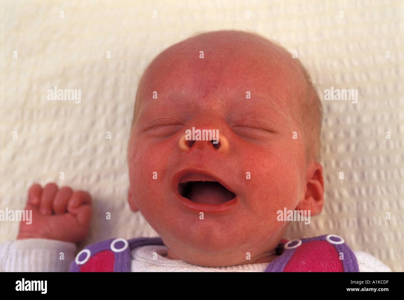 Four weeks old baby yawning MR Stock Photo - Alamy