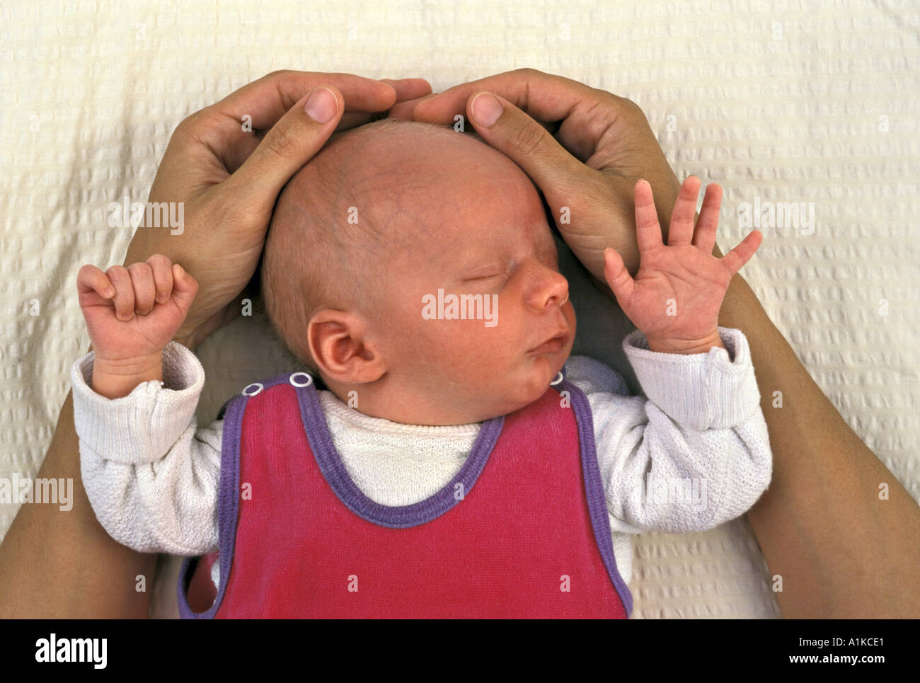 Four weeks old baby and two hands MR Stock Photo - Alamy