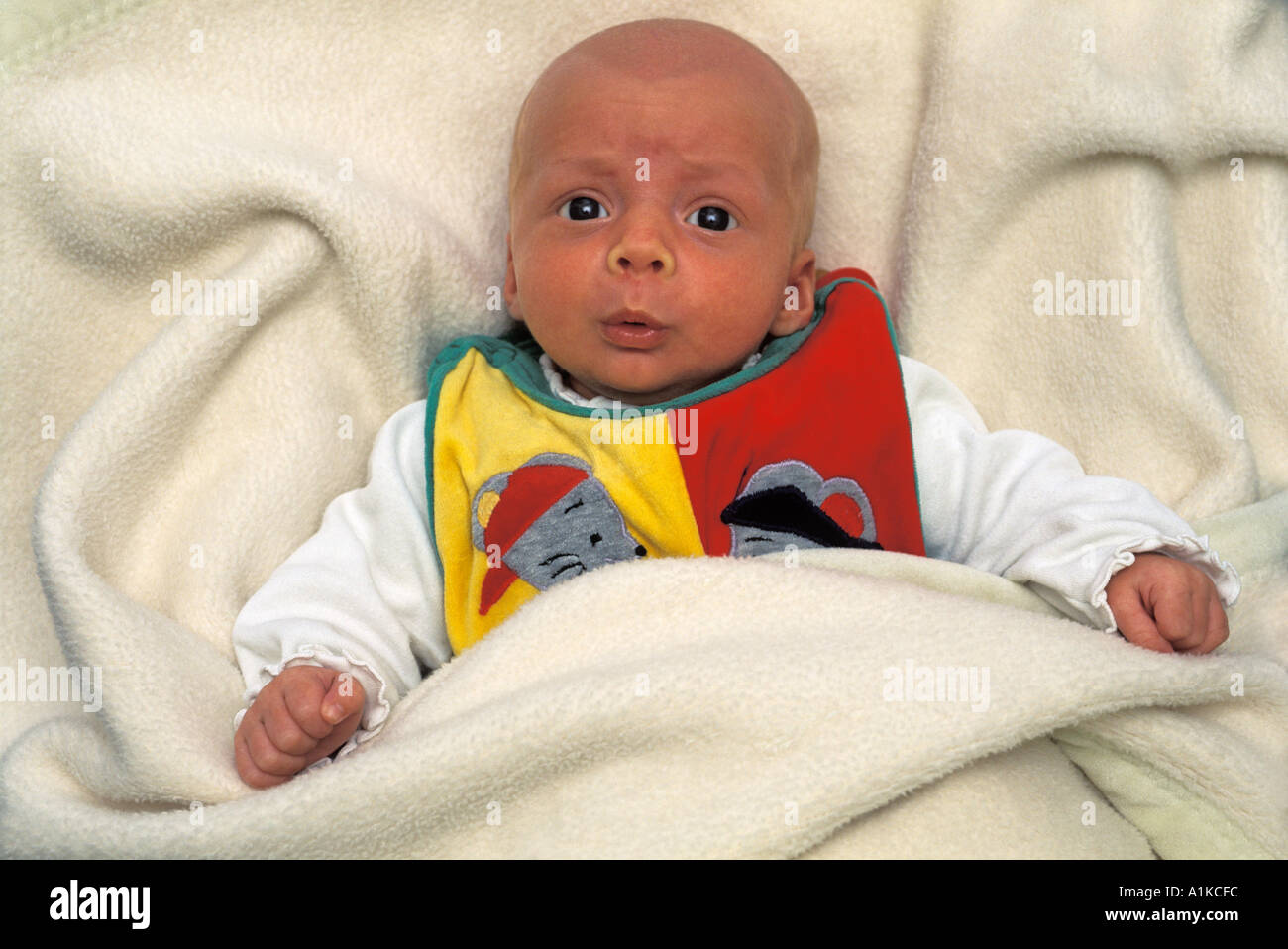 Eight week old Baby MR Stock Photo - Alamy
