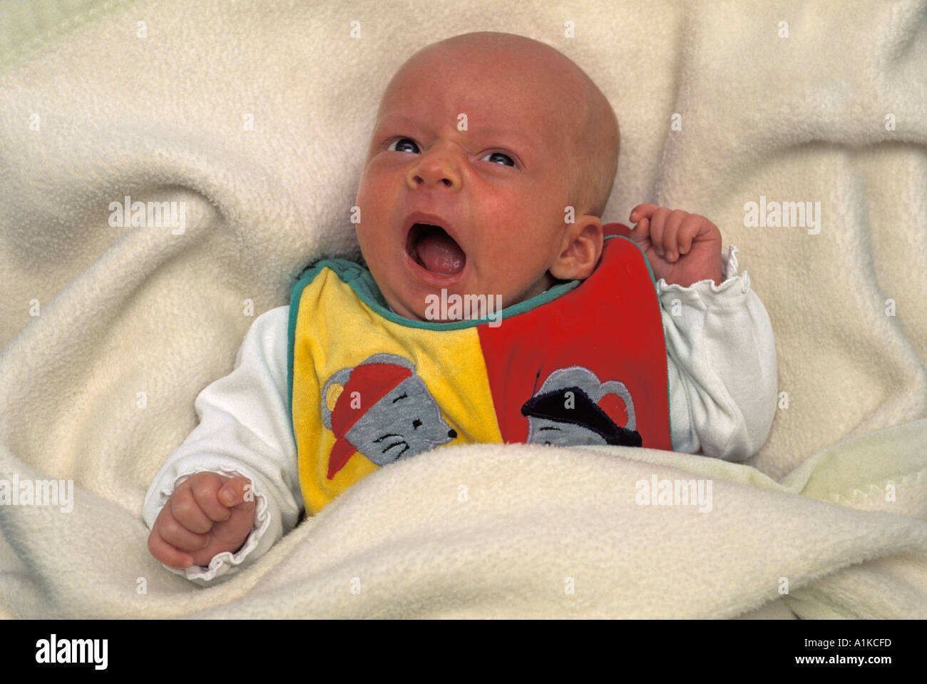 Eight week old Baby MR Stock Photo - Alamy