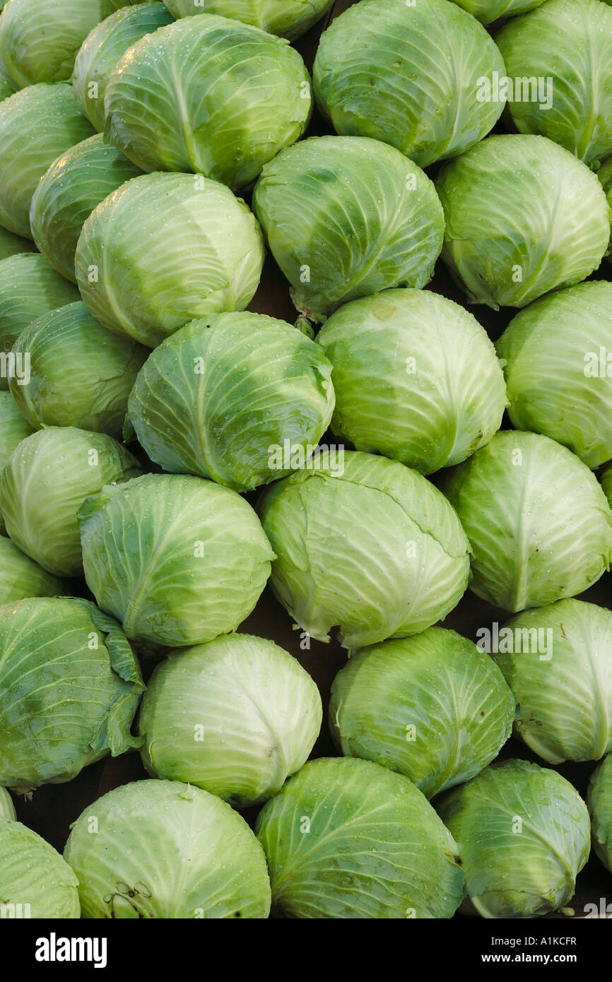 Cabbage in a stand, North Germany, Germany Stock Photo - Alamy